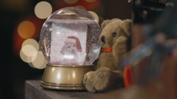Nicolas Noël - Le cristal du temps | ICI TOU.TV