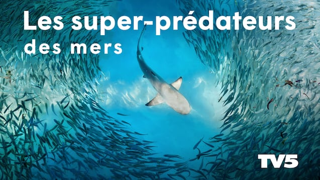 TV5 / Unis TV / TV5MONDEplus | ICI TOU.TV