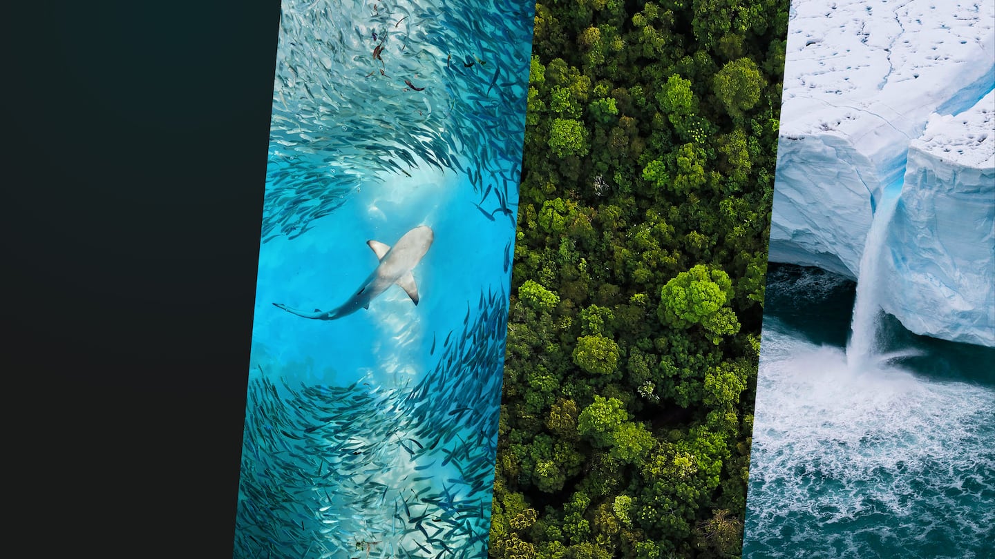 Jour de la Terre | ICI TOU.TV