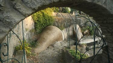 Émissions et séries télé de Radio-Canada | ICI TOU.TV