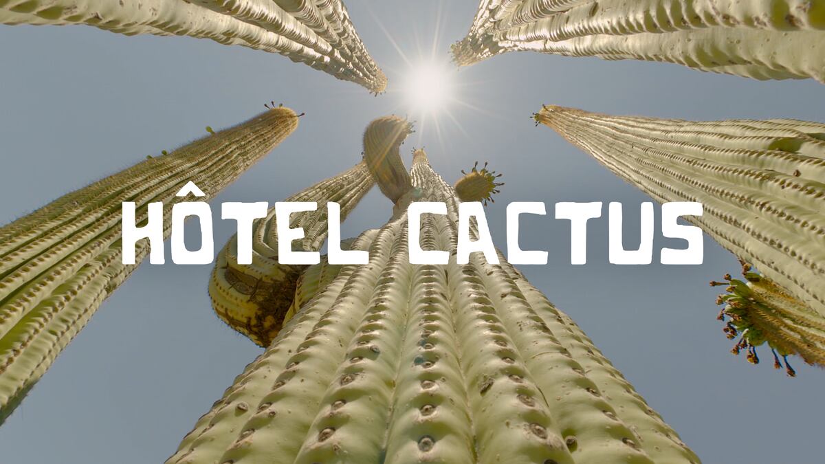 Hôtel Cactus | Films | ICI TOU.TV