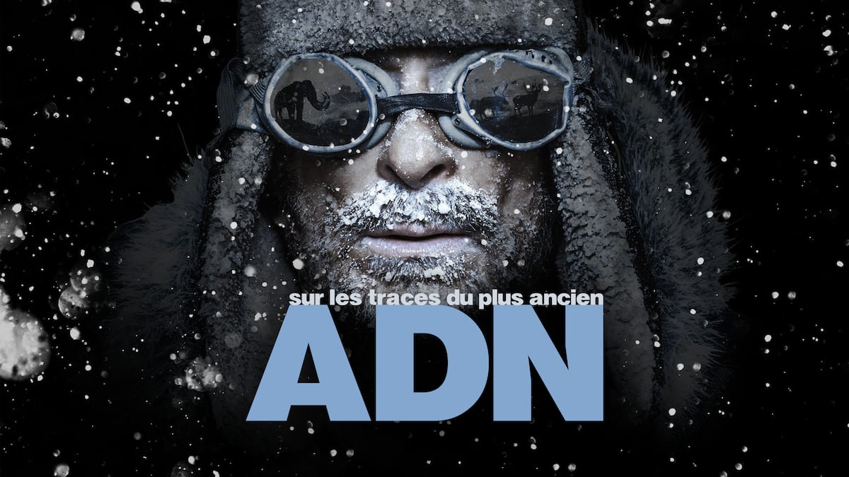 Sur les traces du plus ancien ADN | Films | ICI TOU.TV