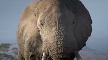 Émissions et séries télé de Radio-Canada | ICI TOU.TV