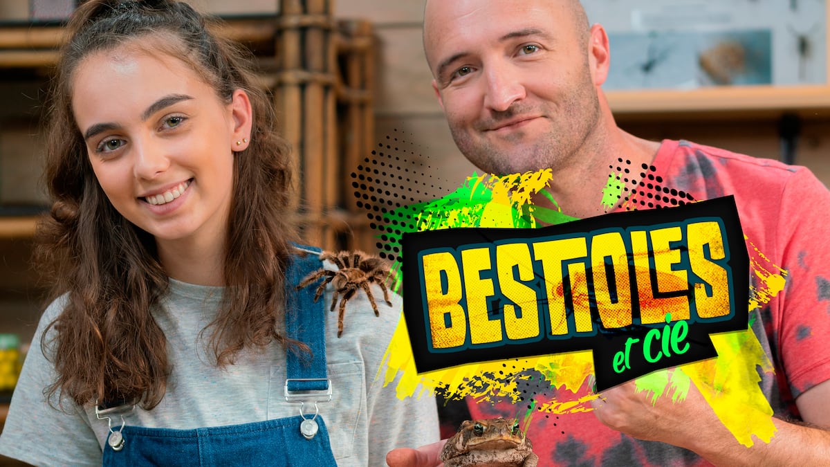 Bestioles et cie | Émissions | ICI TOU.TV
