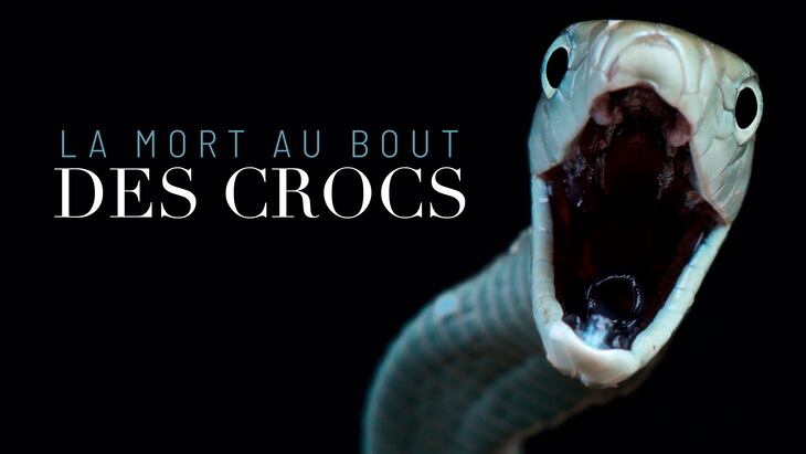 ICI Explora | ICI TOU.TV