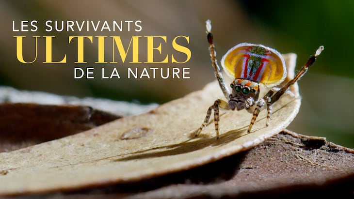 Jour de la Terre | ICI TOU.TV