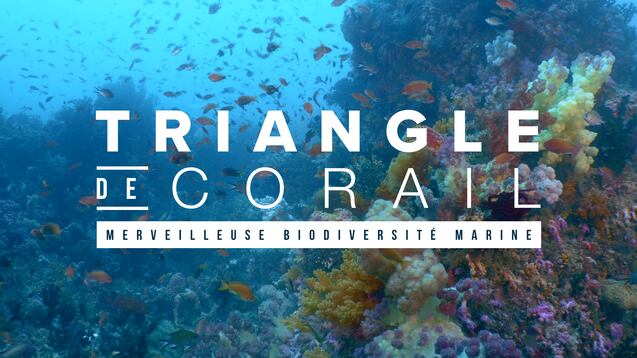 ICI Explora | ICI TOU.TV