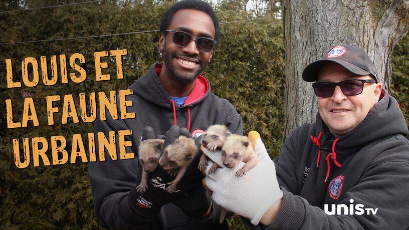 TV5Unis | ICI TOU.TV