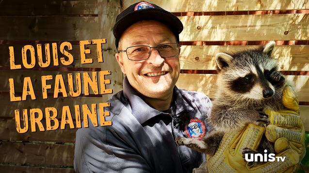 Extra | ICI TOU.TV