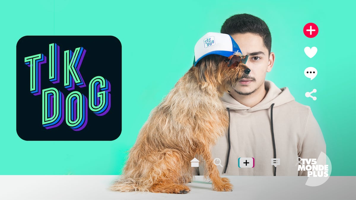 Tik Dog | Séries | ICI TOU.TV